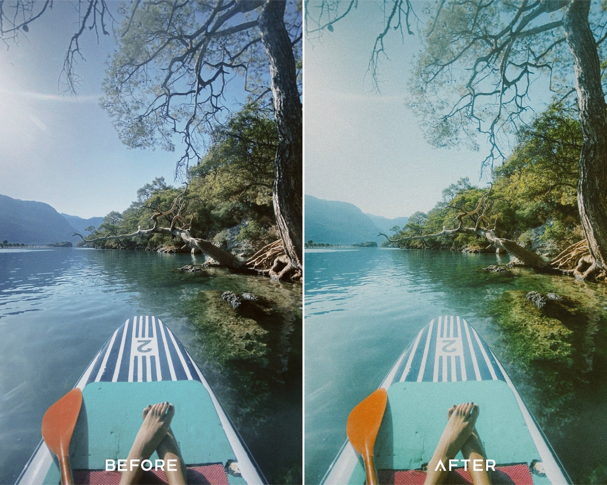 Portra 400 Preset Collection