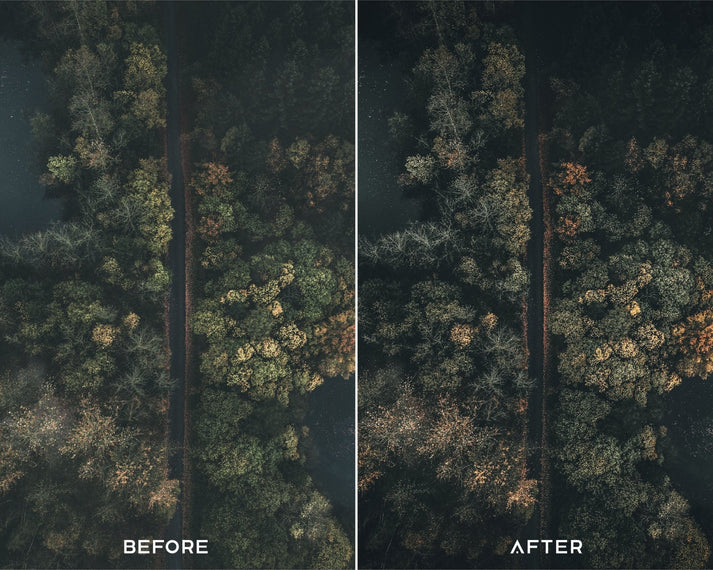 Cinematic Preset Collection