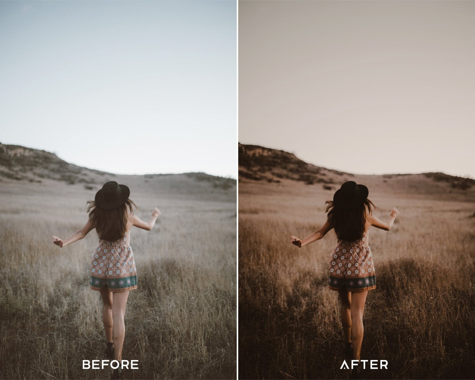 Moody Brown Preset Collection