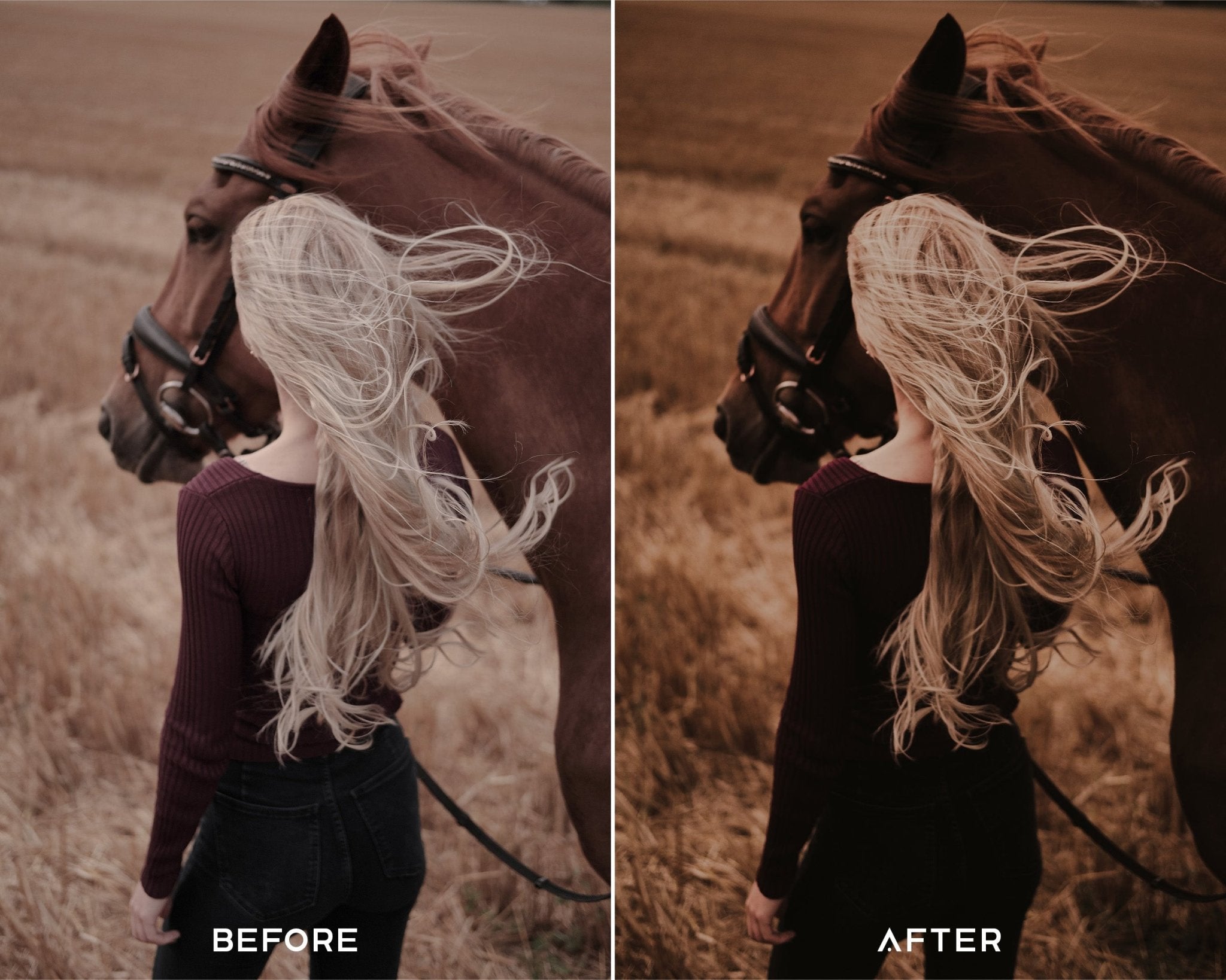 Moody Brown Preset Collection