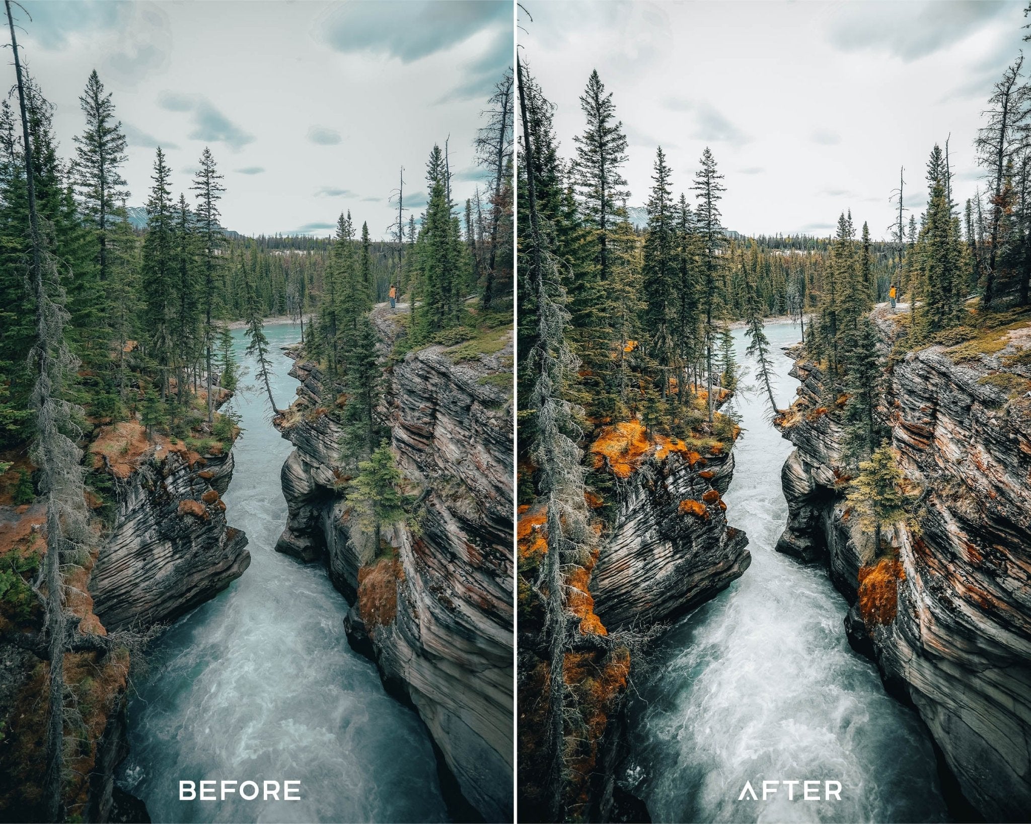 Explore Preset Collection