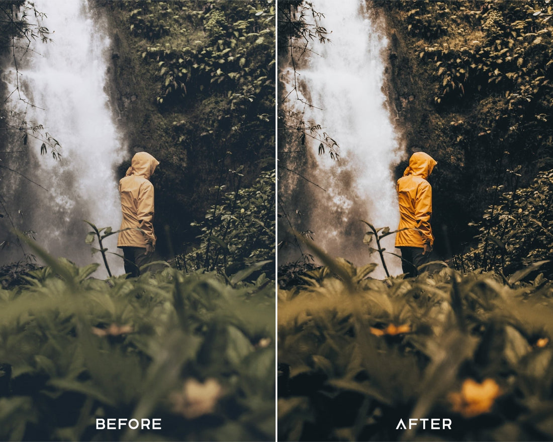 Explore Preset Collection